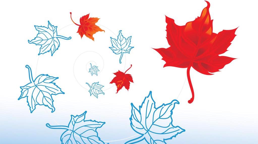 Canada Research Chair Announcement – Kate Henne